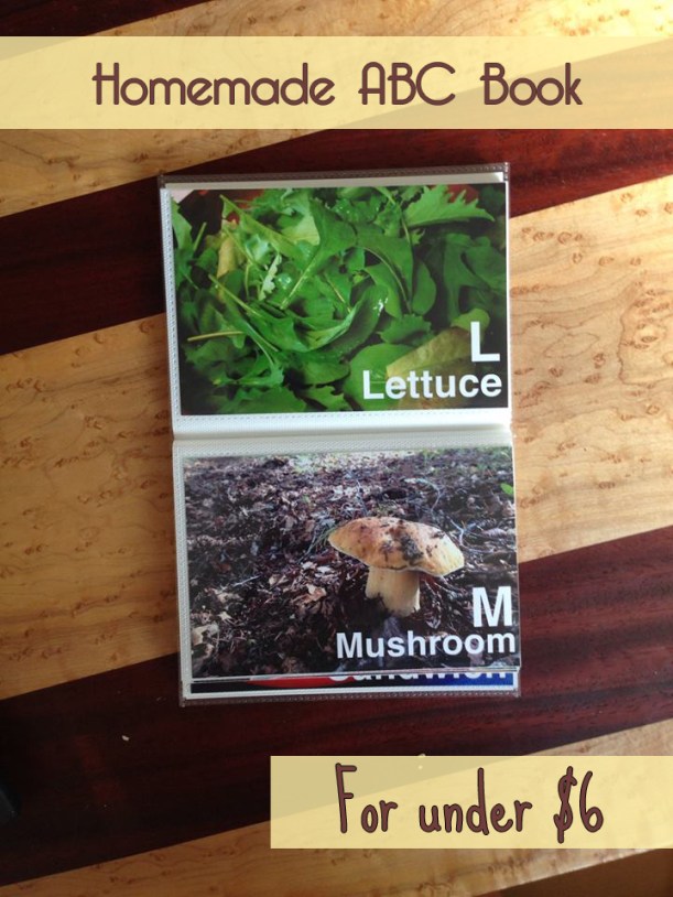 Homemade ABC Book — Free Tutorial | Alaska Knit Nat