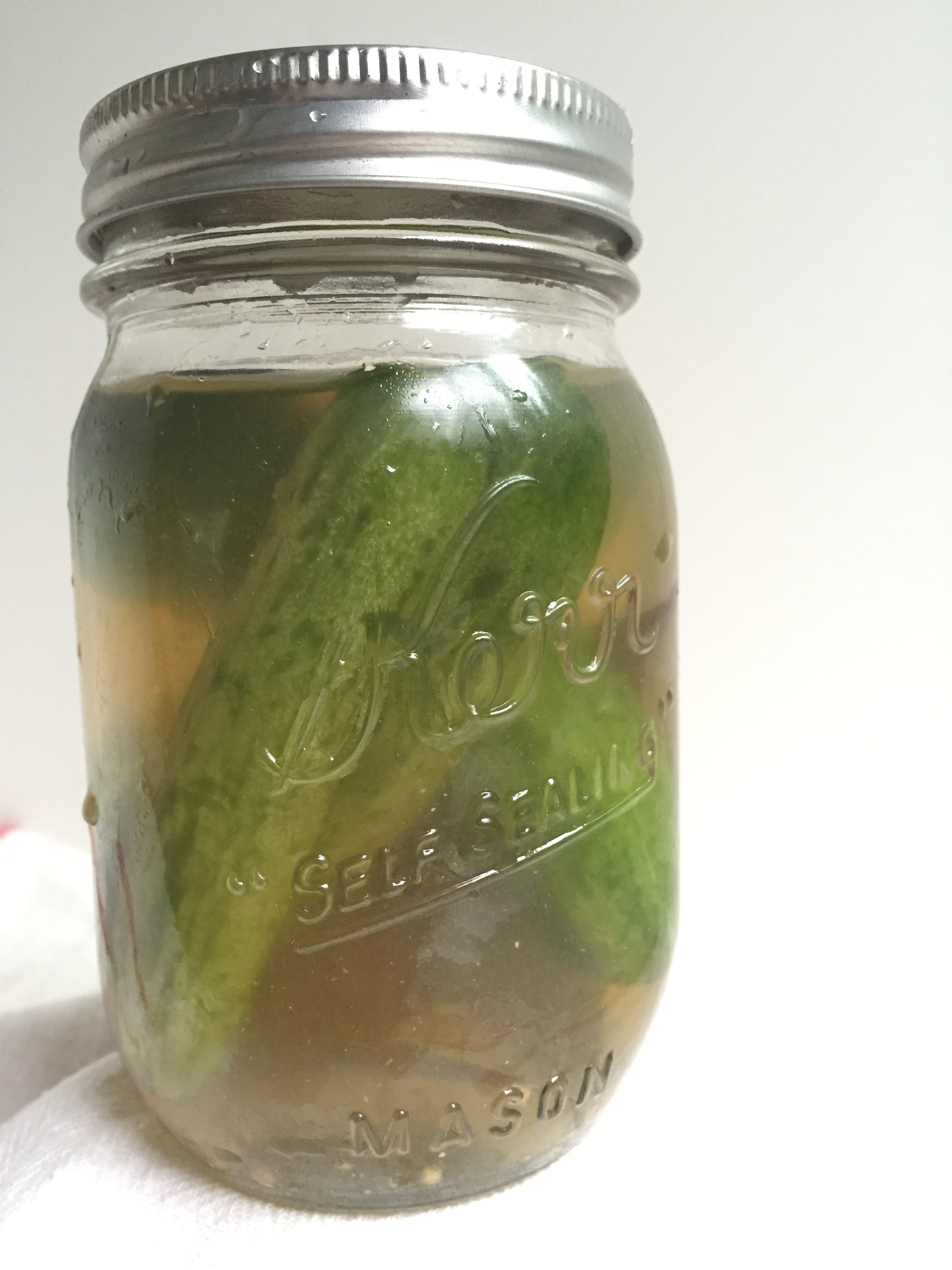 Simple Dill Pickles | A Free Recipe | Alaska Knit Nat